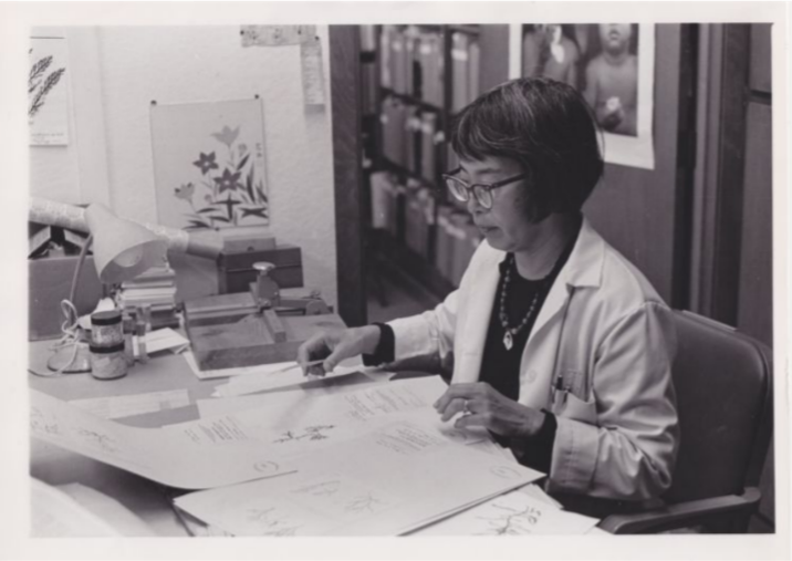 Dr. Isabella Aiona Abbott